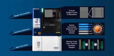 Immunology Cellulartherapy Tcellresearch Biotech Bruker Cellular
