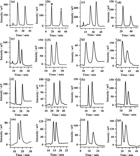 Hplc Chromatograms On The Cop 1 Packed Column 25 Cm Length × 21 Mm