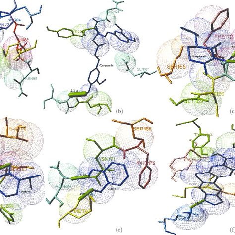 Model Building Of The Tetanolysin O By Homology Modeling A The
