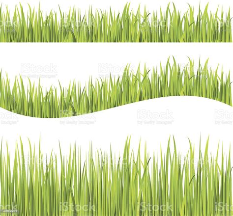 Grass Elements Stock Illustration Download Image Now Agricultural