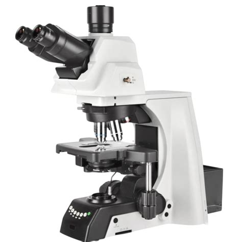 Eco 920 Research Trinocular Microscope Quasmo Microsope