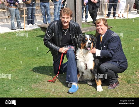 Hasselhoff Puppies David Hasselhoff The Oceanside Animals