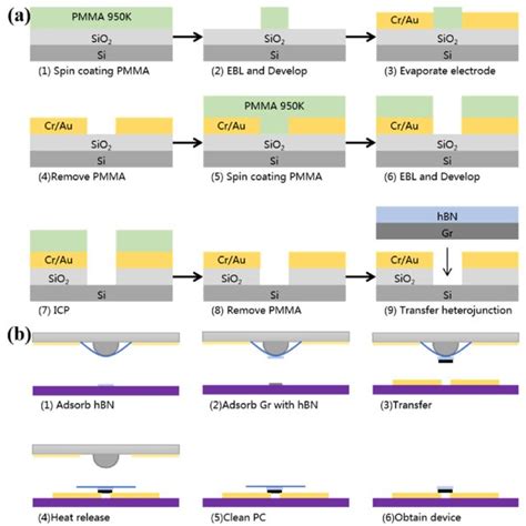 A Schematic Of Fabrication B Schematic Of Transfer Download