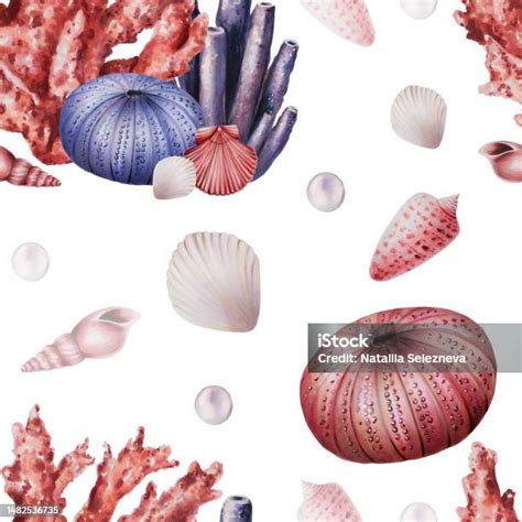 산호 성게 조개와 진주와 수채화 원활한 패턴 손으로 그림을 그리는 클립아트 수중 생물은 흰색의 고립된 배경에 있다 디자이너 장식 엽서 포장지 스크랩북 표지 초대장 웨딩