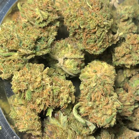 Cbd Strain Cherry Abacus By Dr Ganja The Highest Critic