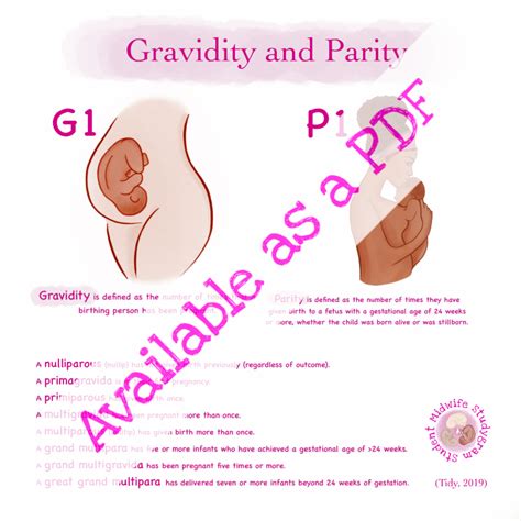 Gravidity And Parity Infographic Digital Download Student Midwife