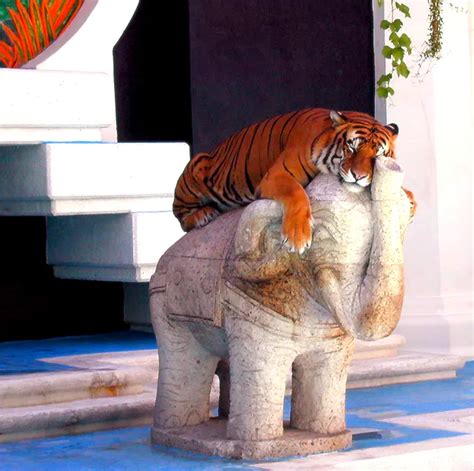 Pgvector Vs Qdrant Benchmarking Open Source Vector Databases For Ai At Scale Timescale