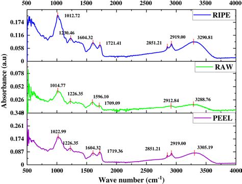 Ftir Spectrum Analysis Of Kadamb Fruit Download Scientific Diagram