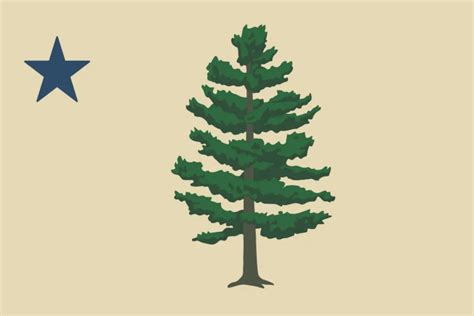 Gardiner Man Winner Of Maine State Flag Redesign Contest 1160 The Score