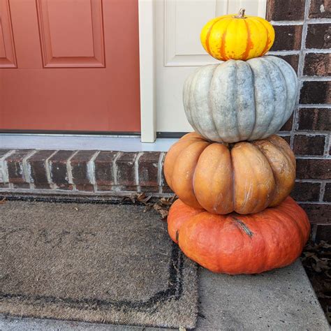 15 Decorative Pumpkins For Your Fall Doorstep Bunnys Garden