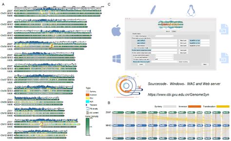 Github Jmsong2genomesyn We Developed Genomesyn As A New Tool For