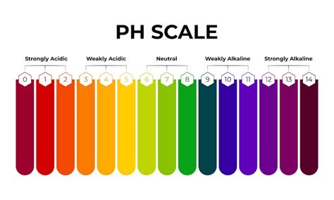 Premium Vector Ph Scale Strongly Acidic Weakly Acidic Neutral Weakly