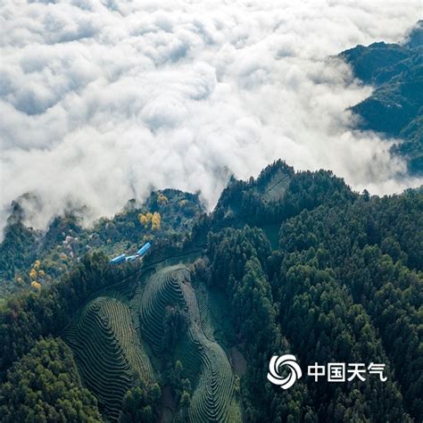 航拍重庆石岭山云海 气势磅礴蔚为壮观 图片 中国天气网