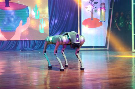 Integrating Ai And Robotics Into The School Curriculum