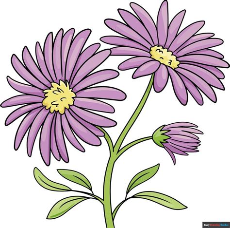 How To Draw An Aster Flower Drawing Tutorials Flower Drawing
