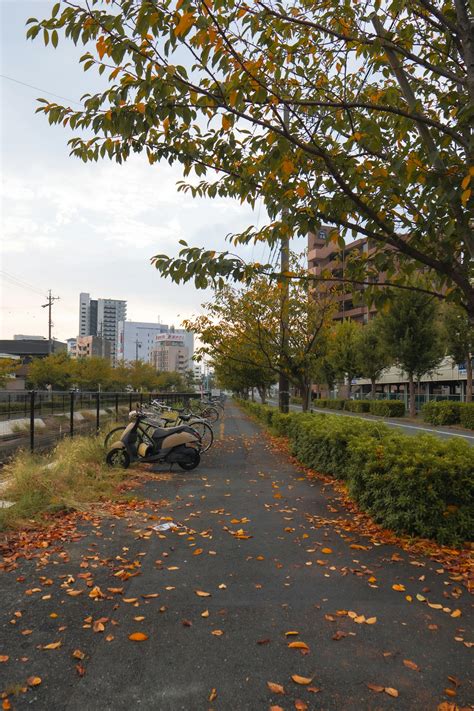 按不出吧一天n1按不出吧一天n1不陈按不出吧一天n1按不出吧一天n1不陈吧一天 Photos Download The Best Free