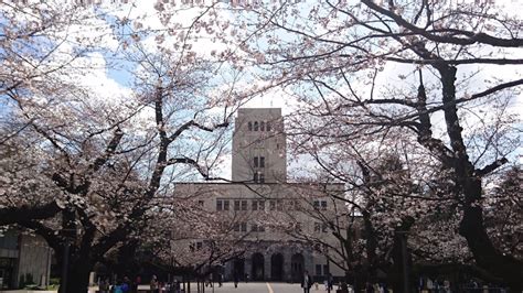 在东京工业大学读社会学是种怎样的体验？ 哔哩哔哩