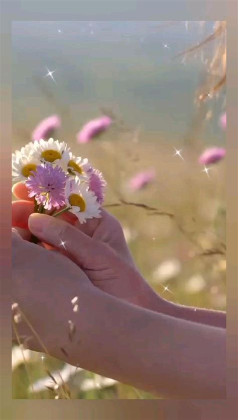 Bendiciones Frases Sabias De Vida Imagenes De Frases Sarcasticas Frases Biblicas De Animo