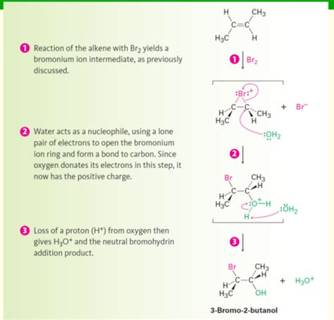 Chapter 8 Alkenes Reactions And Synthesis Flashcards Quizlet