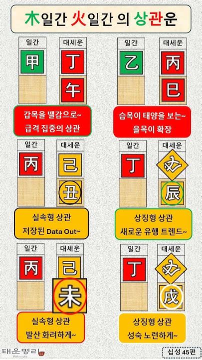 목일간 화일간 의 상관운 을목 갑목 정화 병화 대운 세운 십성 45편 사주공부 사주기초 왕초보사주 Youtube