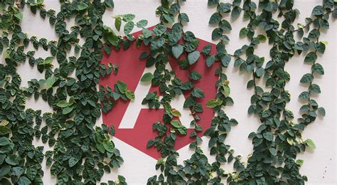 complete angular tutorial for beginners ~ thế giới giải mã