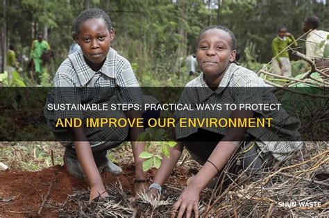 Sustainable Steps Practical Ways To Protect And Improve Our