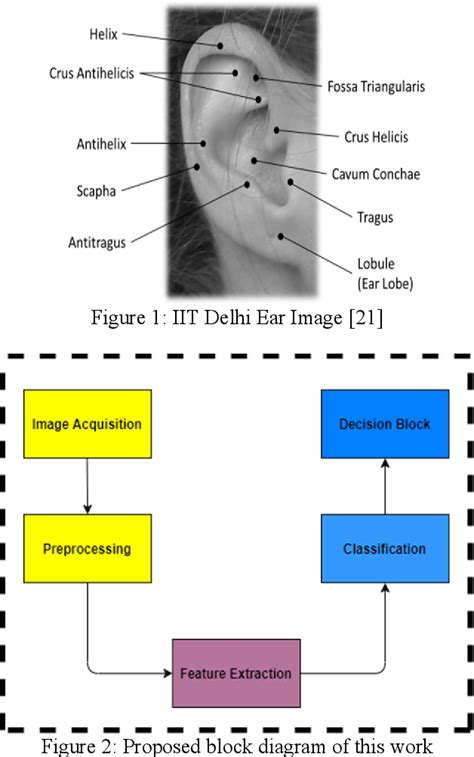 Figure 1 From Human Ear Identification System Using Shape And Structural Feature Based On Sift
