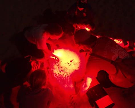 Things We Did Today Turtle Therapy