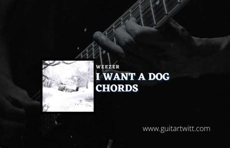 I Want A Dog Chords By Weezer Guitartwitt