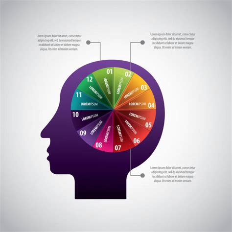 Age Progression Sequence Illustrations Royalty Free Vector Graphics And Clip Art Istock