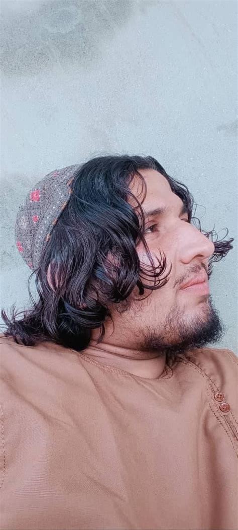 سلیمان پاچا