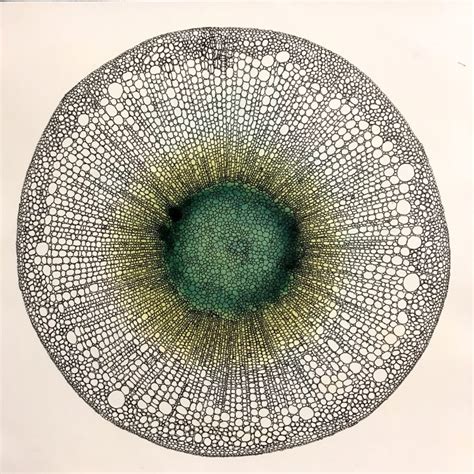 Exploring Interconnections Of Order And Chaos Interalia Magazine