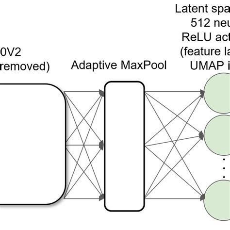 The 256 × 256 Frb Image Is Utilized As The Input Image And