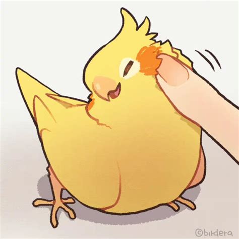 小鸟酱 高清图片，堆糖，美图壁纸兴趣社区