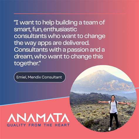 Anamata On Linkedin Pega And Mendix Quality