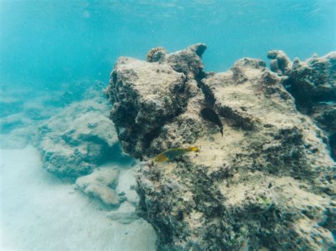 Best 3 Places To Do Snorkeling In Rarotonga Unsure Traveller