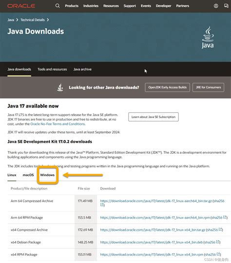 Java速成系列 03 Java的下载java客户端下载msi还是 Csdn博客