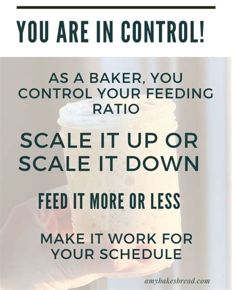 Sourdough Starter Ratios Amy Bakes Bread Sourdough Starter