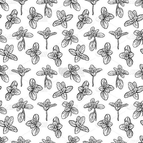 罗勒无缝模式。意大利草药。一小枝马郁兰。罗勒是一种芳香的调味料。手绘插图