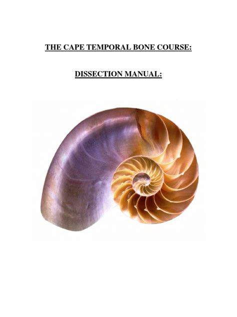 Temporal Bone Dissection Guide Pdf Home And Garden Technology And Engineering