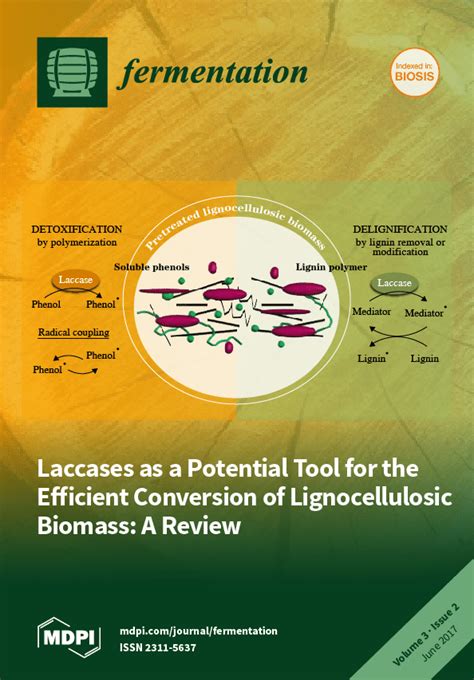 Graphical Abstract Selected For Cover Image Of Volume 3 Issue 2 Download Scientific Diagram