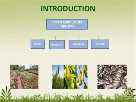 Agro Based Industries Scenario And Their Future In India Pptx