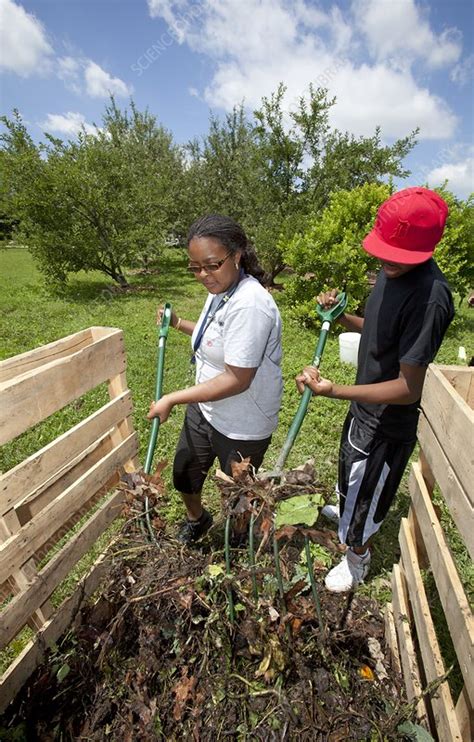 Compost Heap Stock Image C0228797 Science Photo Library