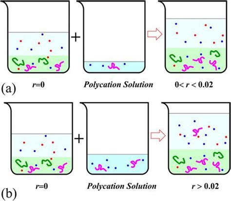 Polyelectrolyte Complex Coacervation Effects Of Concentration