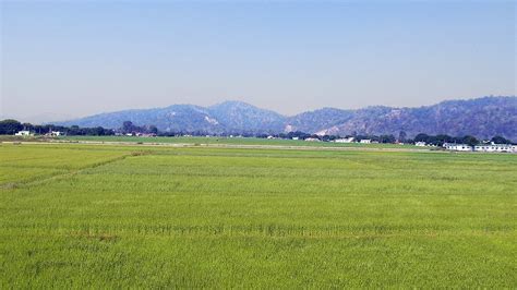 تعليقات ومقارنة أسعار فندق هوتل ‪corbett Solitaire Resort Dhela