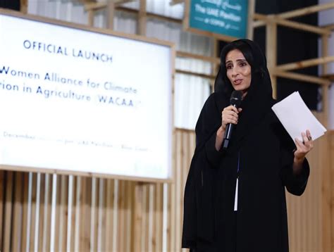 Cop28 Global Renewables And Energy Efficiency Pledge