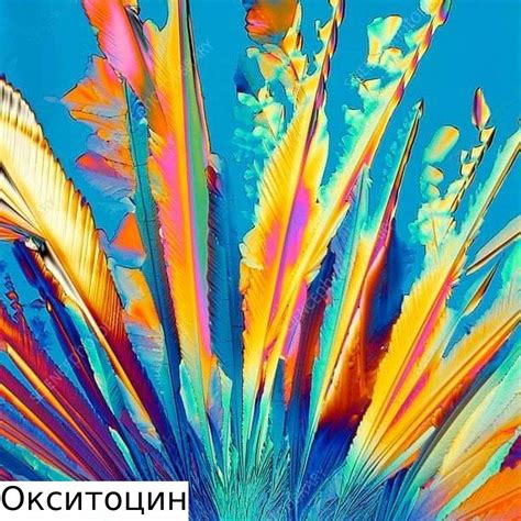 Гормоны йони массажа под микроскопом