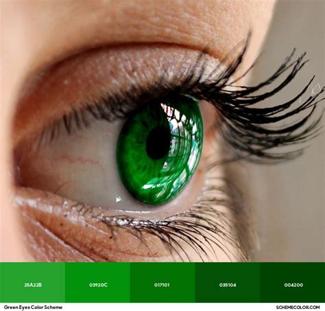 How Rare Is Forest Green Eyes