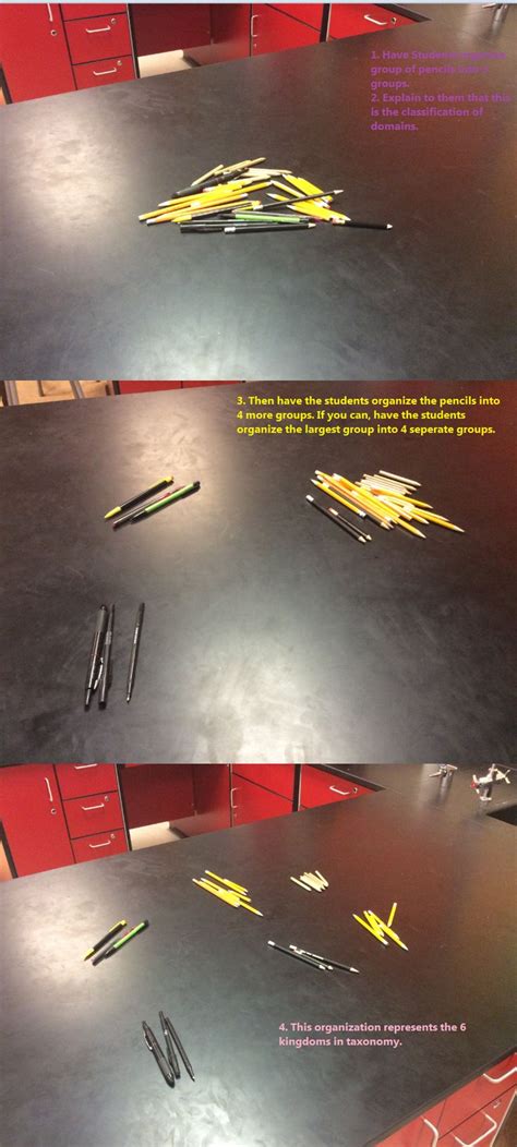 Classification Activity Taxonomy Biology Lesson Taxonomy Biology Biology Lessons Taxonomy