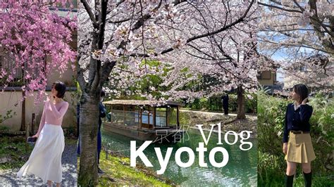 🌸벚꽃만개 교토여행🇯🇵 Vlog 3박4일 로컬맛집 추천 청수사•후시미 짓코쿠부네•아라시야마•철학의길•이치조지•산넨자카•니넨자카 3월 교토여행🎥 Youtube